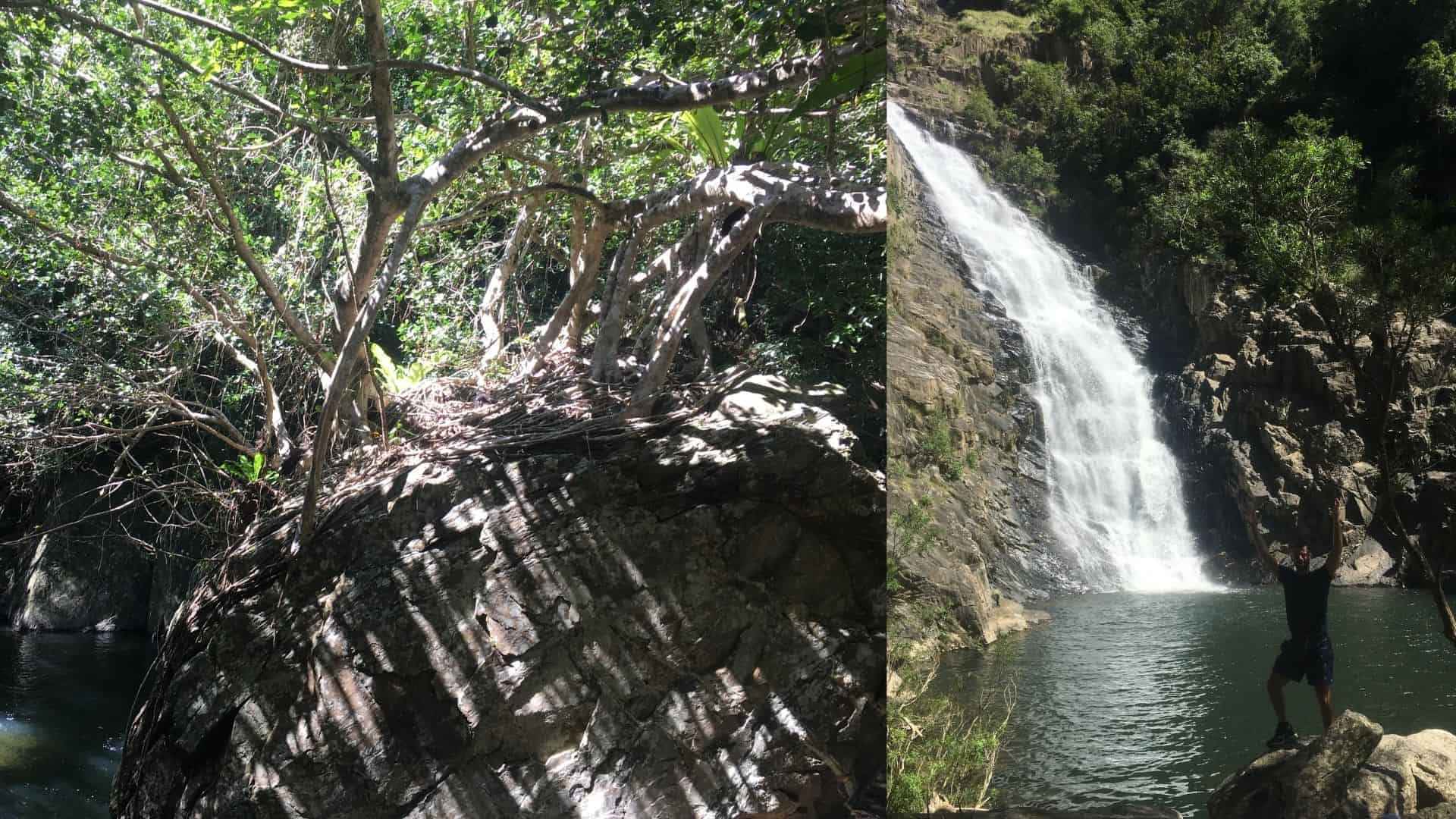 Black Rock Waterfall Hiking Track | Savvy Monkey